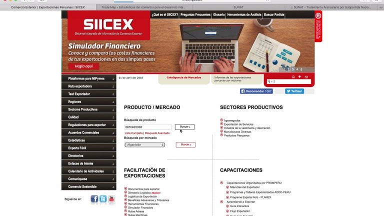Guía Completa para Acceder a Estudios de Mercado SIICEX: Pasos y Consejos - Etiqueta Negra